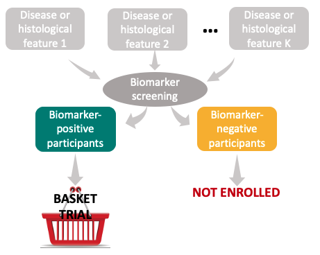 Safety Evaluation in Oncology Phase II Basket Trial | Jianing Wang